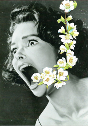 TOXICOLOGIE DU LANGAGE 1 – XYLOGLOSSE