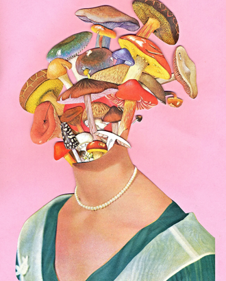 TOXICOLOGIE DU LANGAGE 3 – XYLOGLOSSE